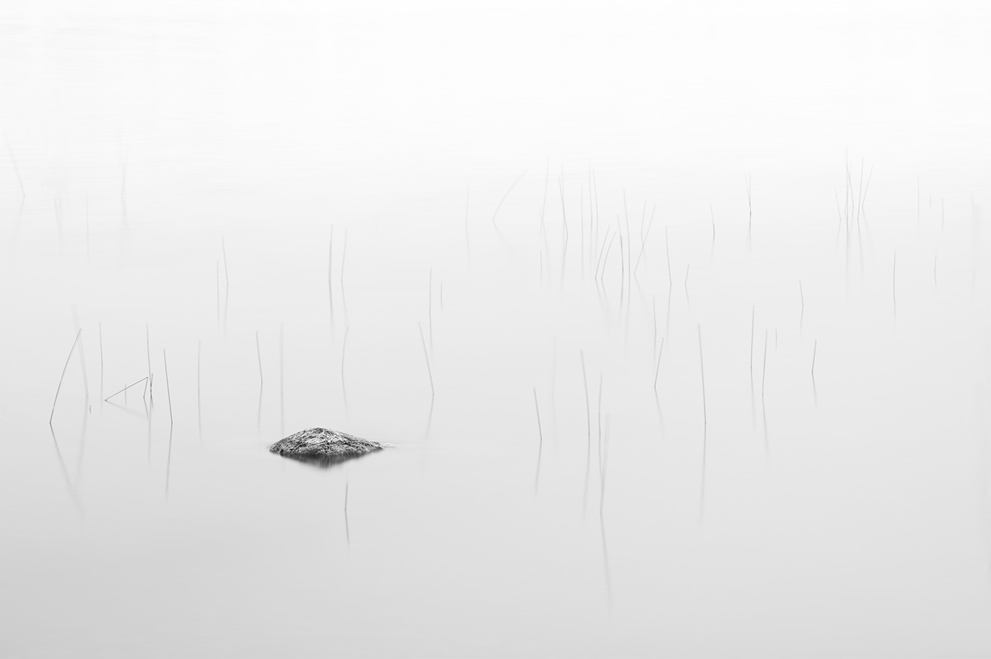 A Quiet Morning |Wall Art Print Framed Canvas Poster