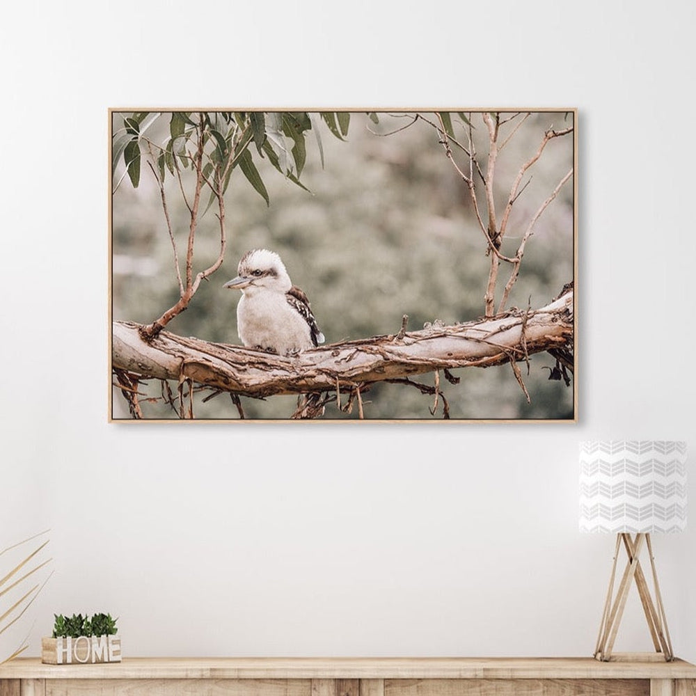 Animal Photography Art Australia | Gioia Wall Art