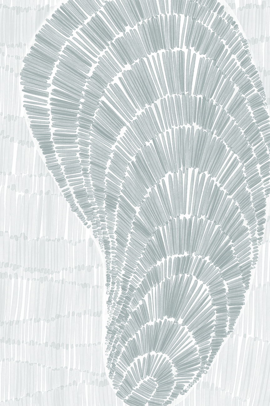 Drifted Mussel Shell , By Emily Wood,Wall Art Canvas Print,