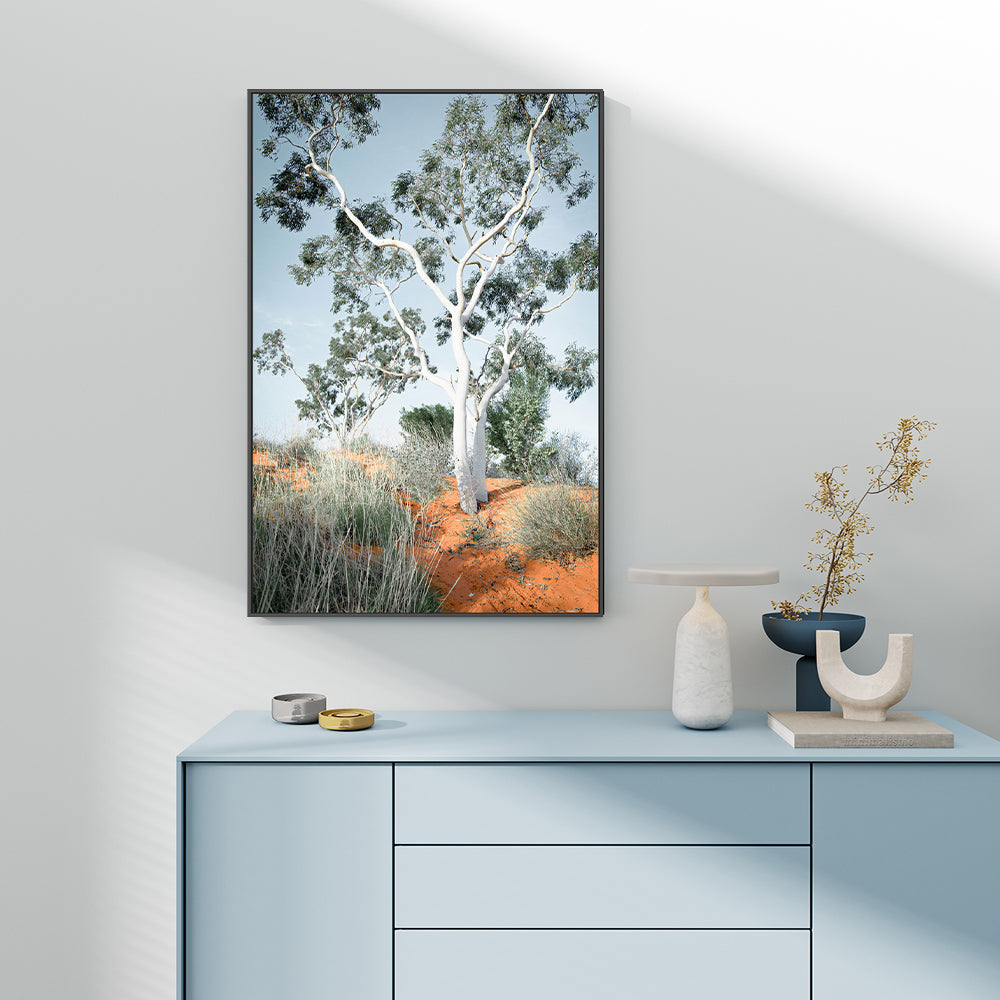 Australian Gum Tree |Wall Art Print Framed Canvas Poster – Gioia Wall Art