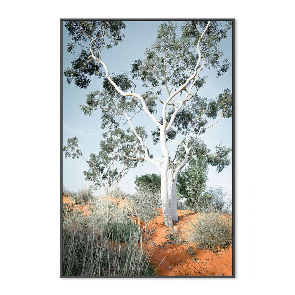 Australian Gum Tree,Wall Art Canvas Print, Poster,Range of Sizes