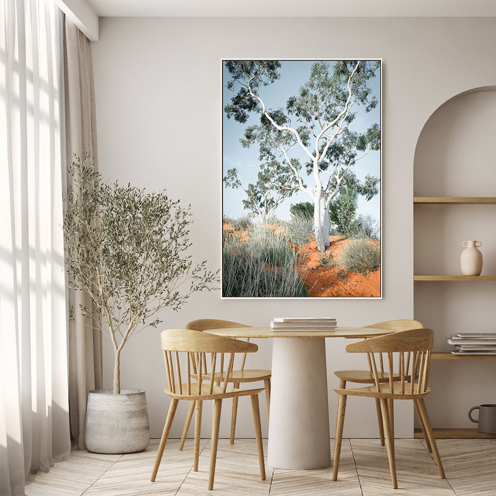 Australian Gum Tree |Wall Art Print Framed Canvas Poster – Gioia Wall Art