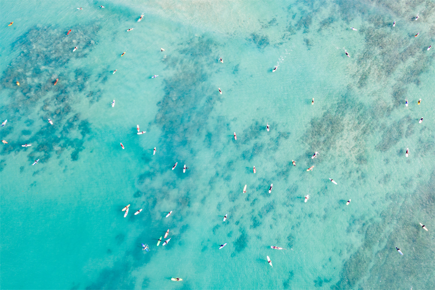 Blue Reef , By Richard Podgurski,Wall Art Canvas Print, Poster,Range