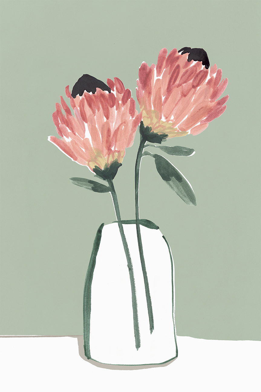 Blushing Proteas,Wall Art Canvas Print, Poster,Range of Sizes