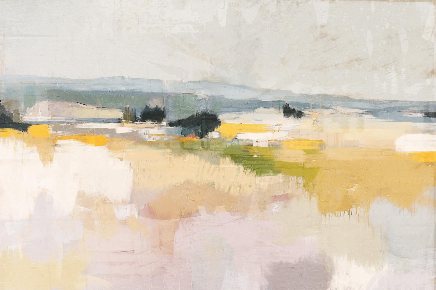 Colorful Fields, Style B|Canvas Wall Art Print,Poster Print