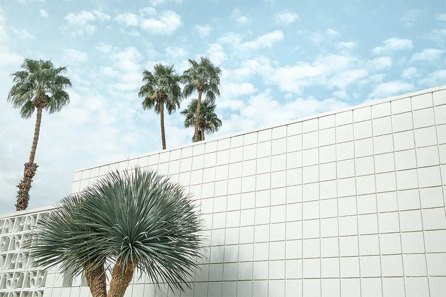 Desert Wall , By Tricia Brennan,Wall Art Canvas Print, Poster,Range of