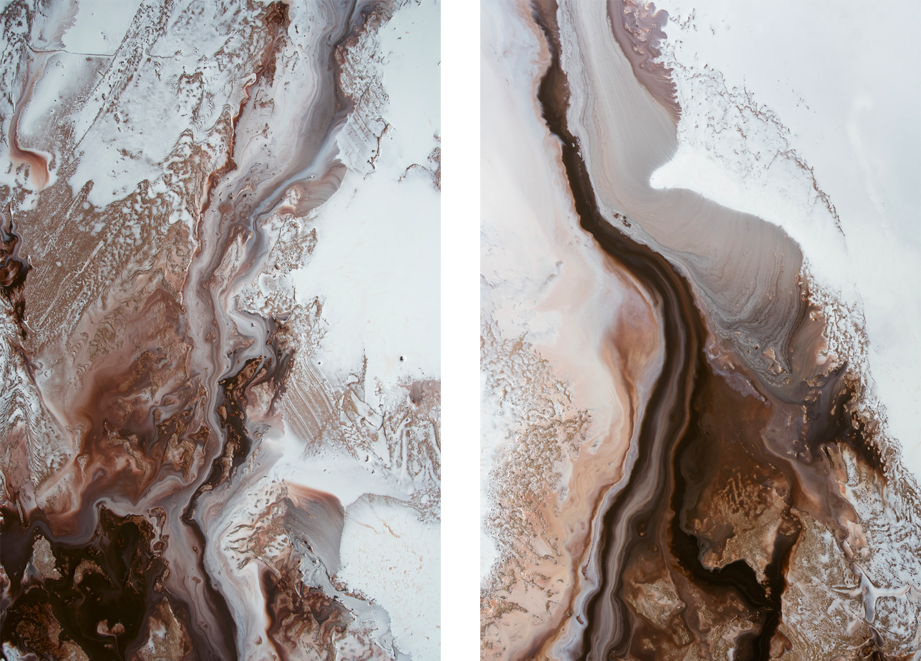 Earthly Currents, Style A & B, Set Of 2 , By Petra Meikle,Wall Art