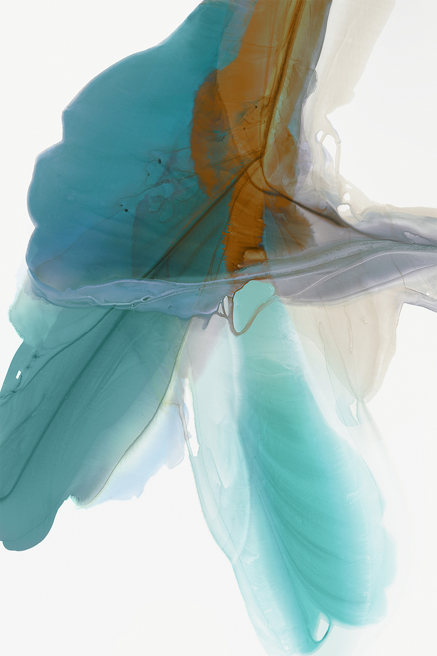 Fluttering,Wall Art Canvas Print, Poster,Range of Sizes