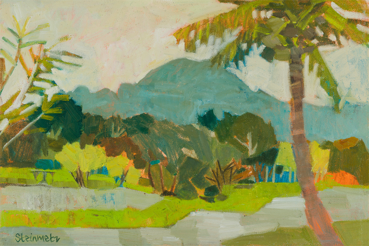Kilohana With Coconuts Kauai , By Liana Steinmetz,Wall Art Canvas