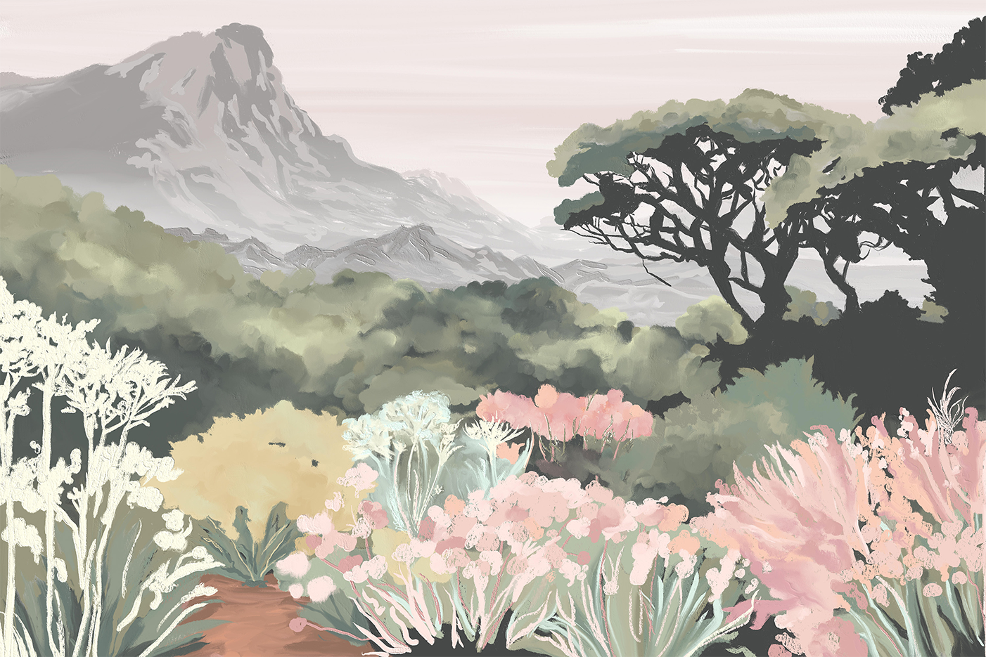 Kirstenbosch Dreaming, Kirstenbosch Gardens, Cape Town, South Africa