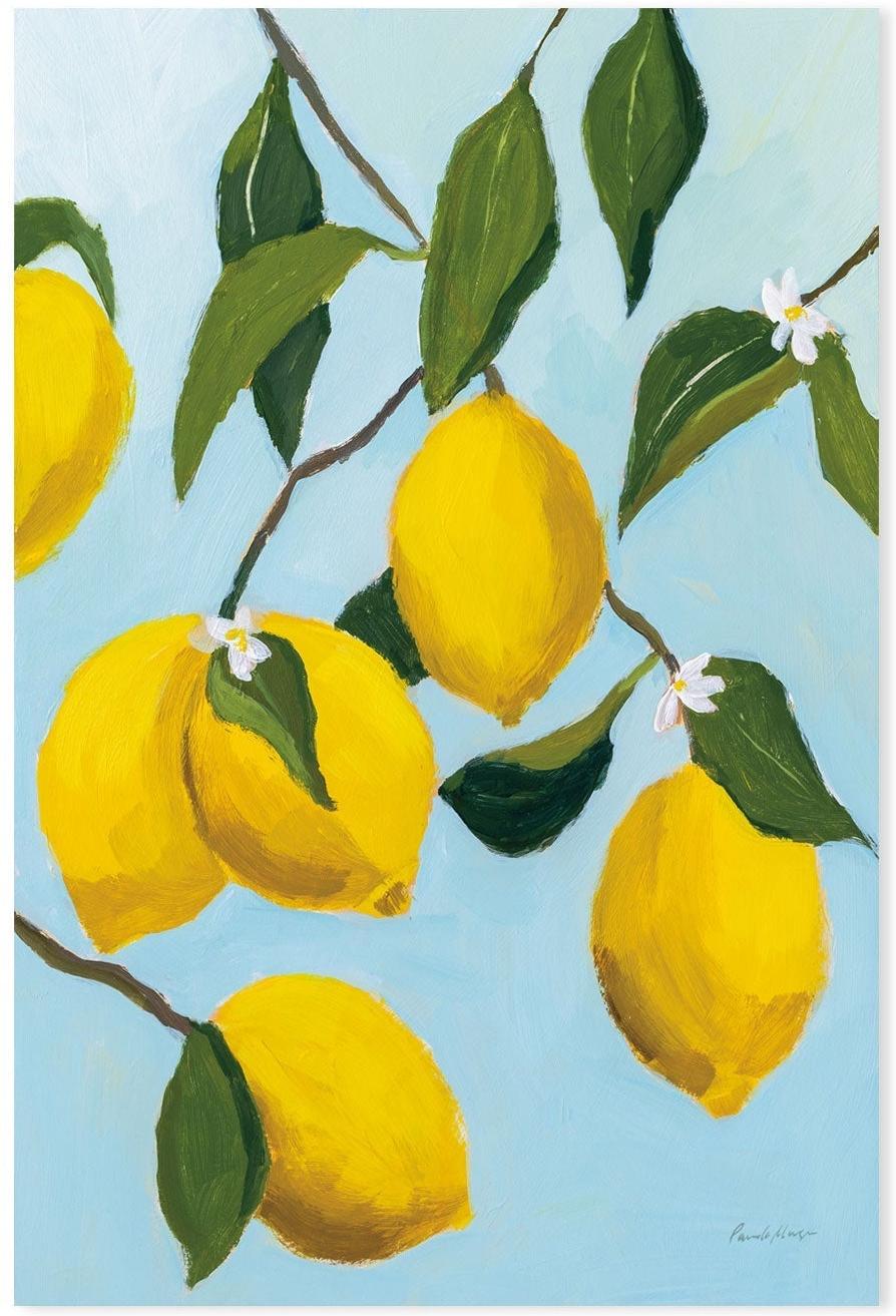 Lemon Tree , By Pamela Munger,Wall Art Canvas Print, Poster,Range of