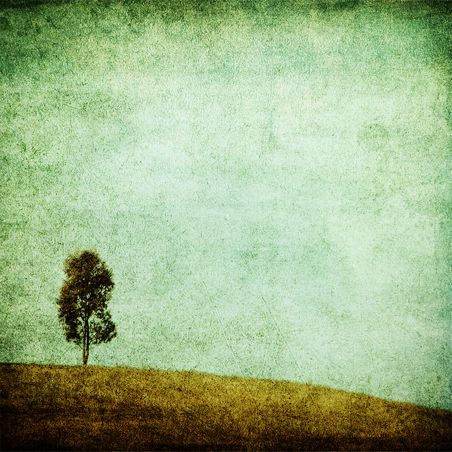 Lone Tree on a Hill with Paper Textures, Humble Disposition , By
