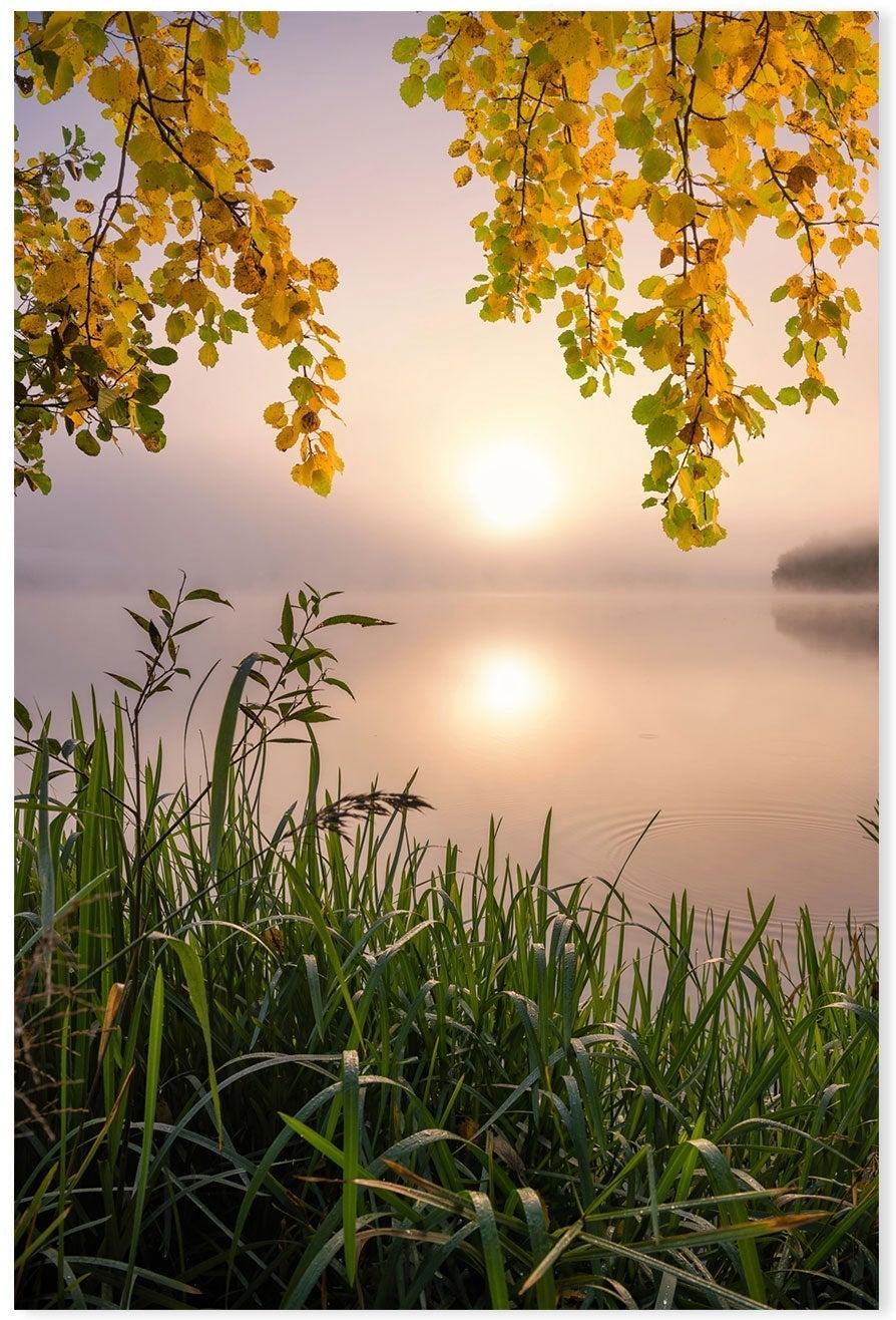 Morning Light , By Christian Lindsten,Wall Art Canvas Print,