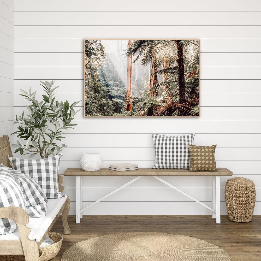 Native Australian Rainforest - Eucalyptus Trees And Ferns |Wall Art ...