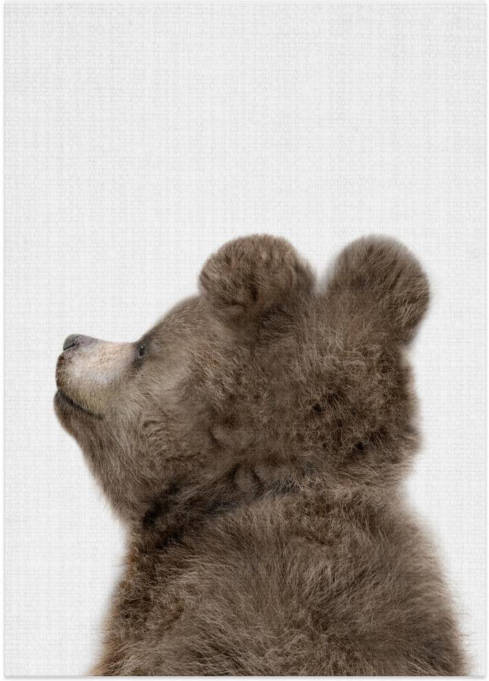 Peekaboo Baby Bear Back |Wall Art Print Framed Canvas Poster