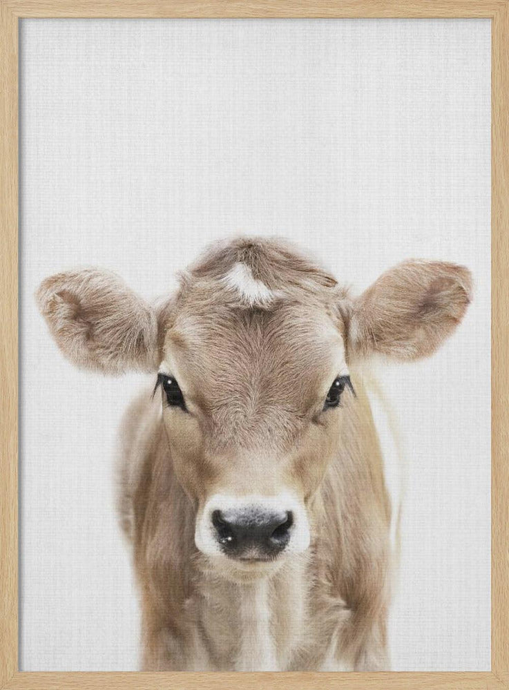 Peekaboo Baby Cow , By Lola Peacock,Wall Art Canvas Print,