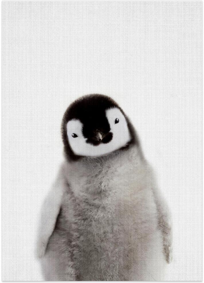 Peekaboo Baby Penguin |Wall Art Print Framed Canvas Poster