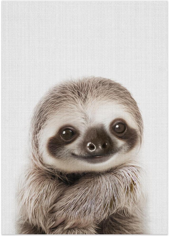 Peekaboo Baby Sloth |Wall Art Print Framed Canvas Poster