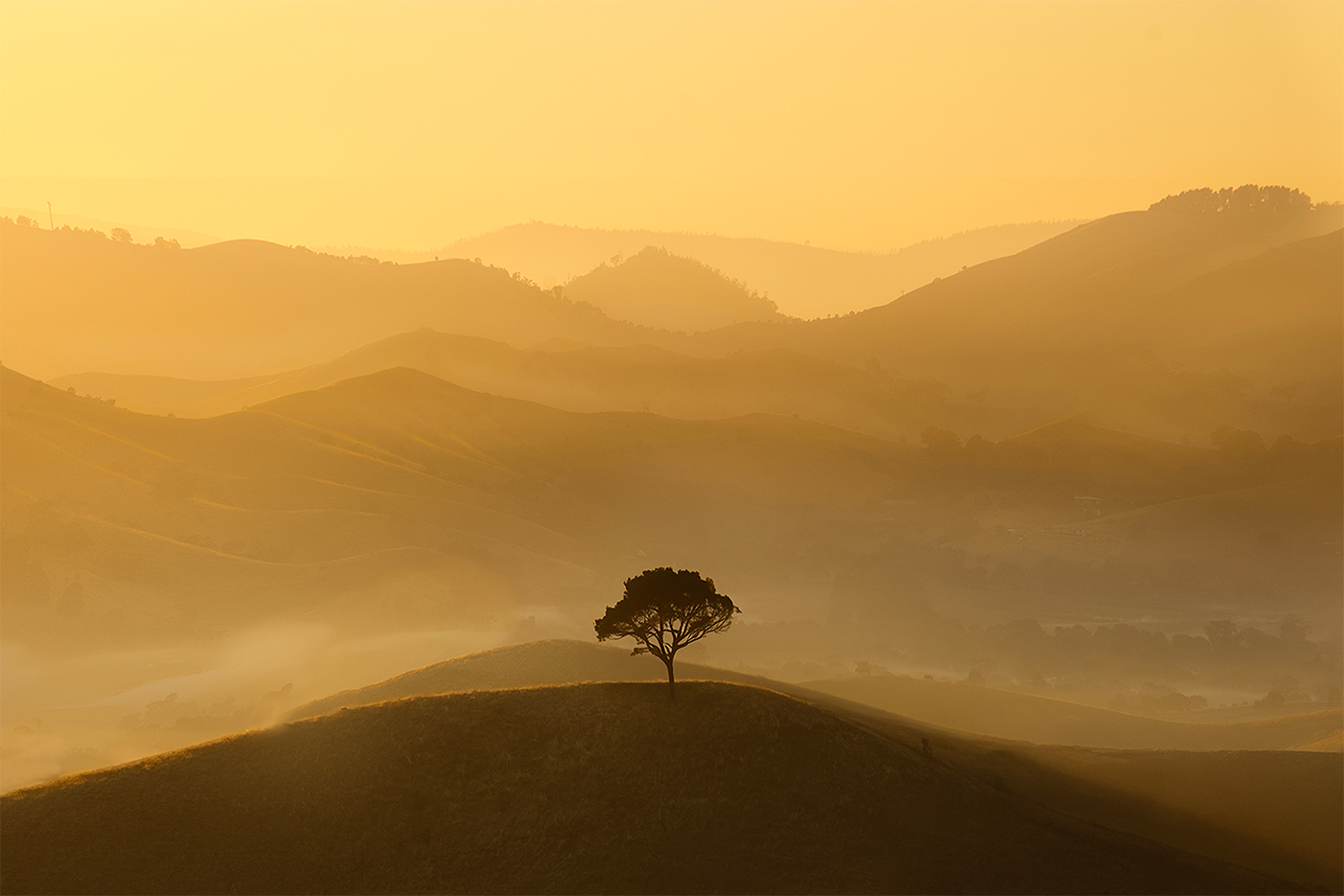Strathbogie Ranges, Victoria , By Christopher Cann,Wall Art Canvas