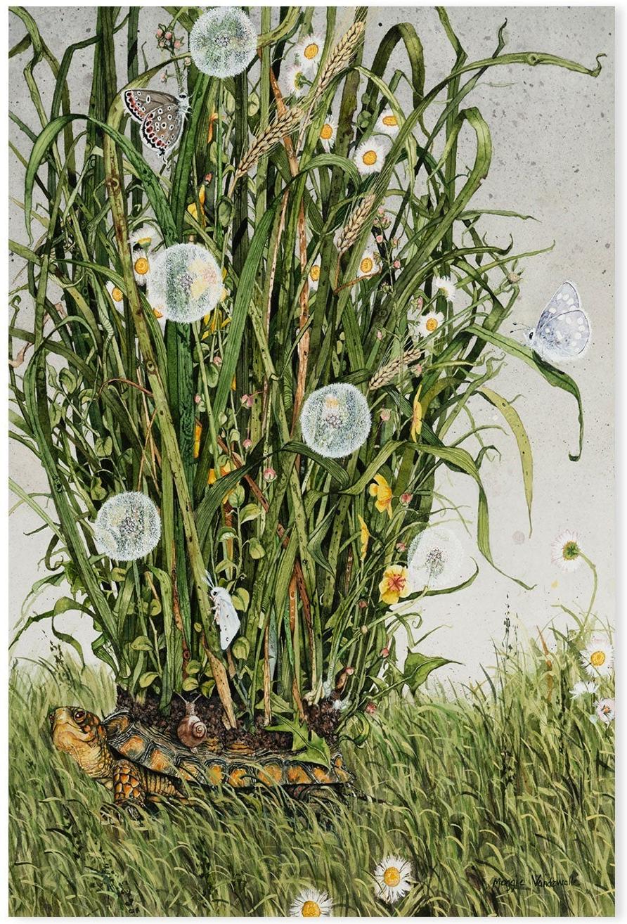 Stray Sod , By Maggie Vandewalle,Wall Art Canvas Print, Poster,Range