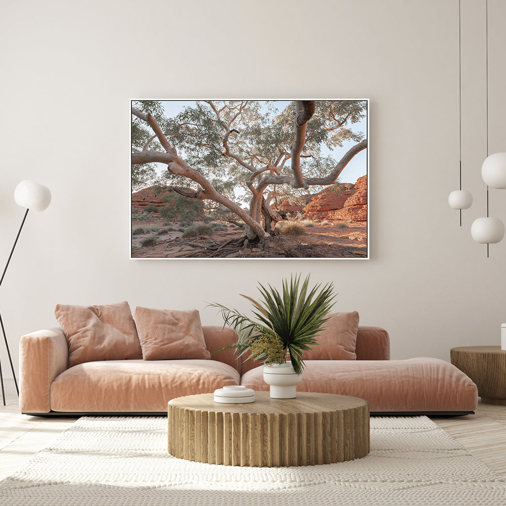Twisting Gum Tree |Wall Art Print Framed Canvas Poster – Gioia Wall Art